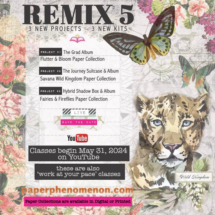 Box Only – Paper Phenomenon