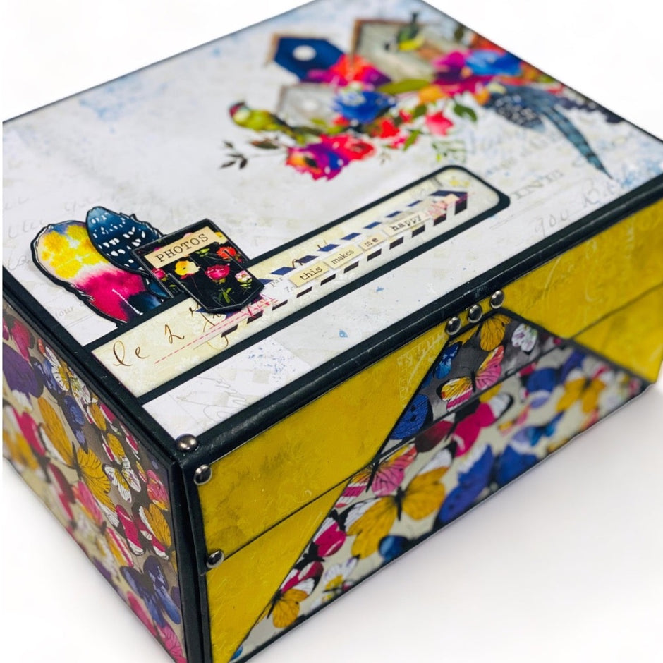 Box Only – Paper Phenomenon